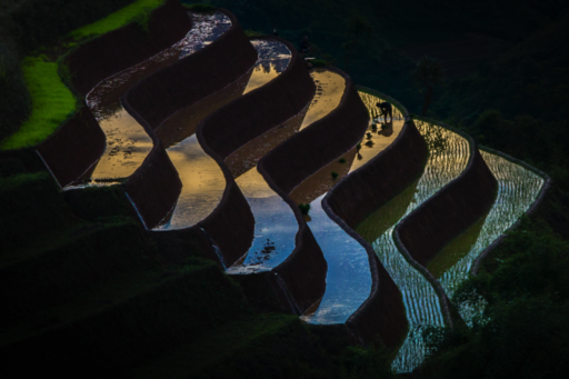 【論文】cbnet：a Novel Composite Backbone Network Architecture For Object Detection の解説